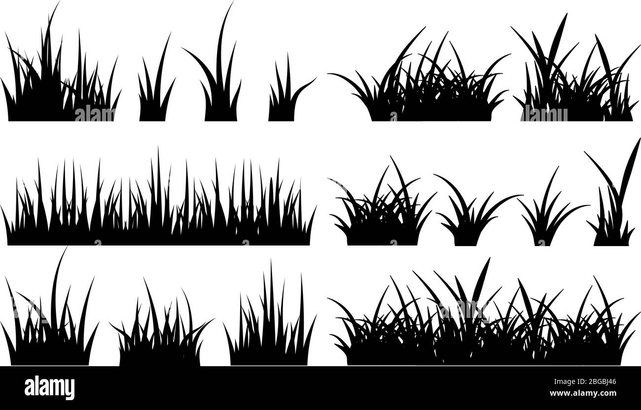 Monochrome illustration of grass. Vector silhouettes Stock Vector Image ...
