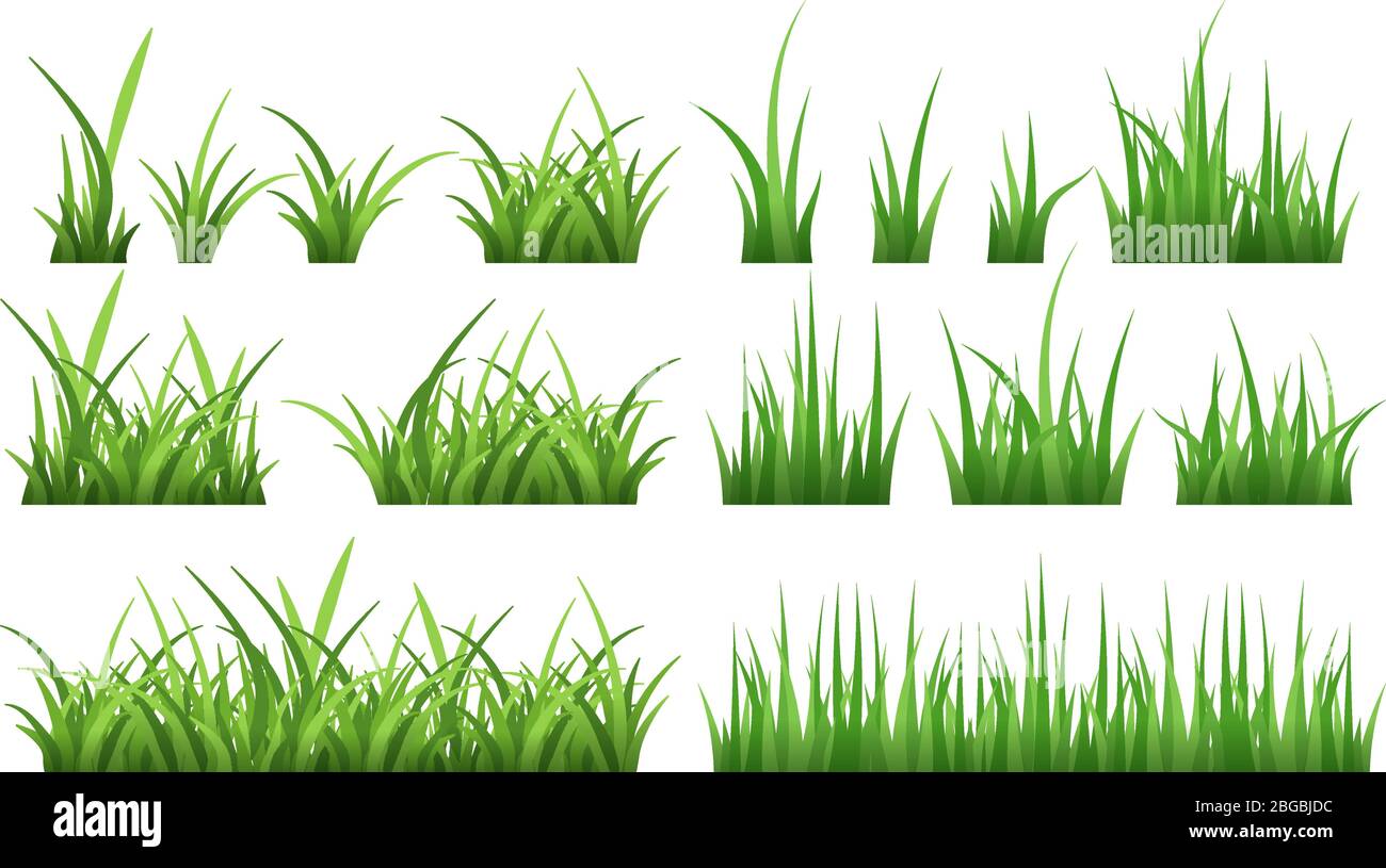 Field illustrations hi-res stock photography and images - Alamy