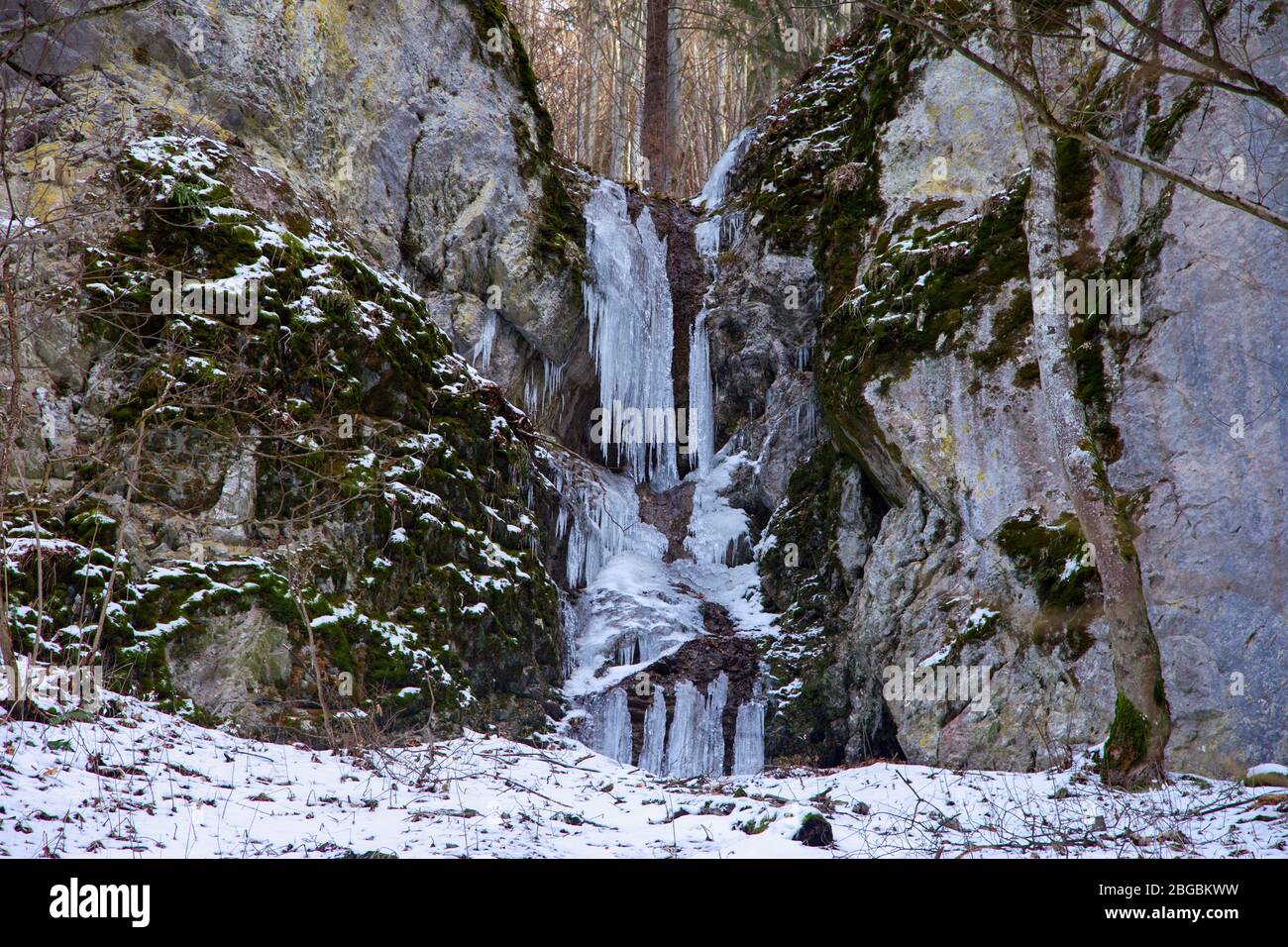 Frozen waterfall in the rock ravine, Slovakia Stock Photo - Alamy