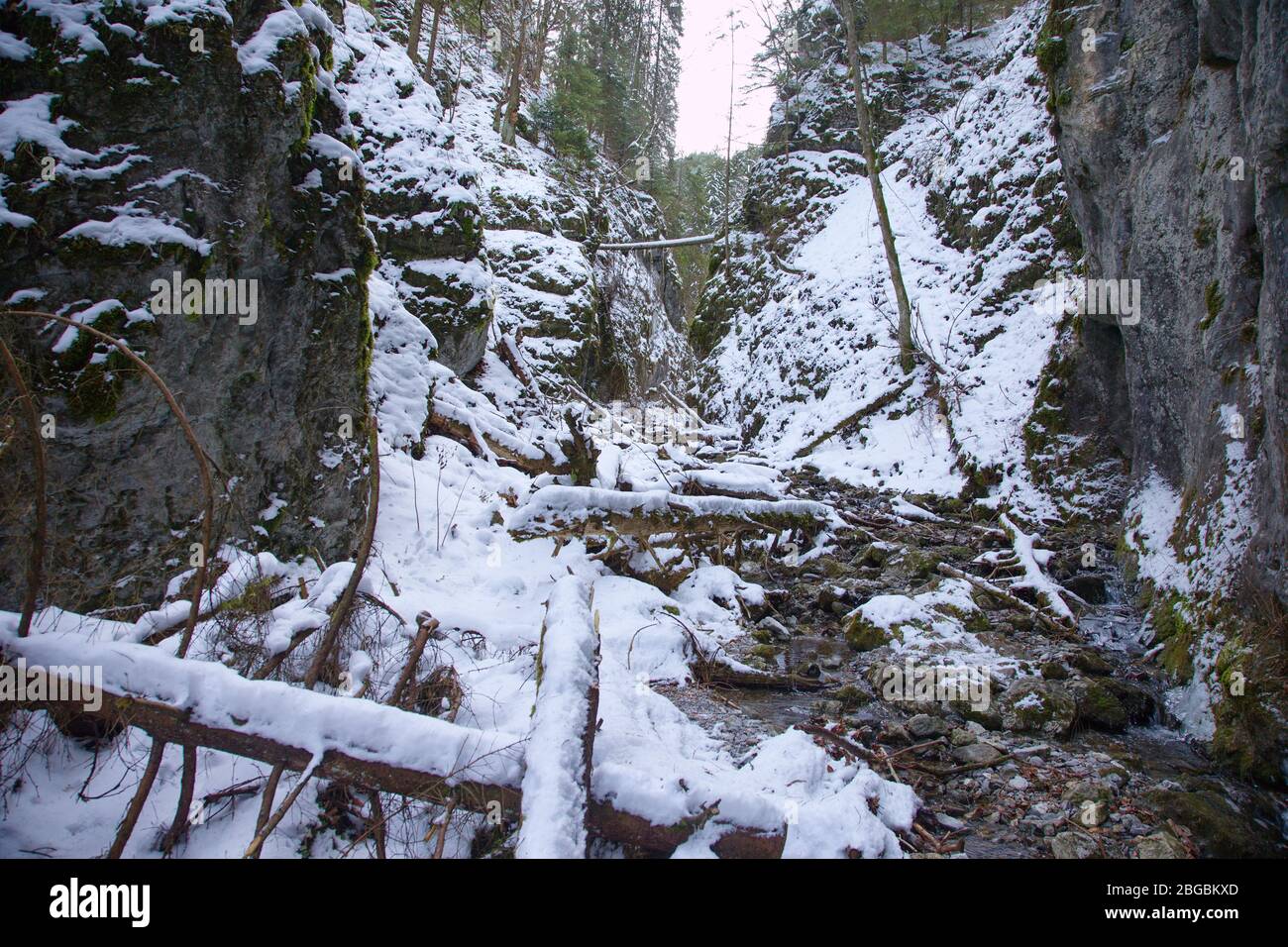 Canyon ravine hi-res stock photography and images - Alamy