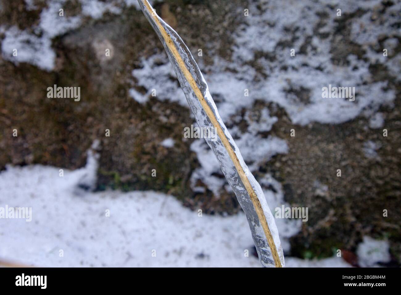 Beautiful dry grass covered snow hi-res stock photography and images ...