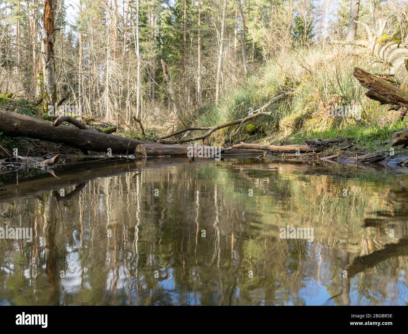 river view in early spring, dry grass and old reeds on river banks ...