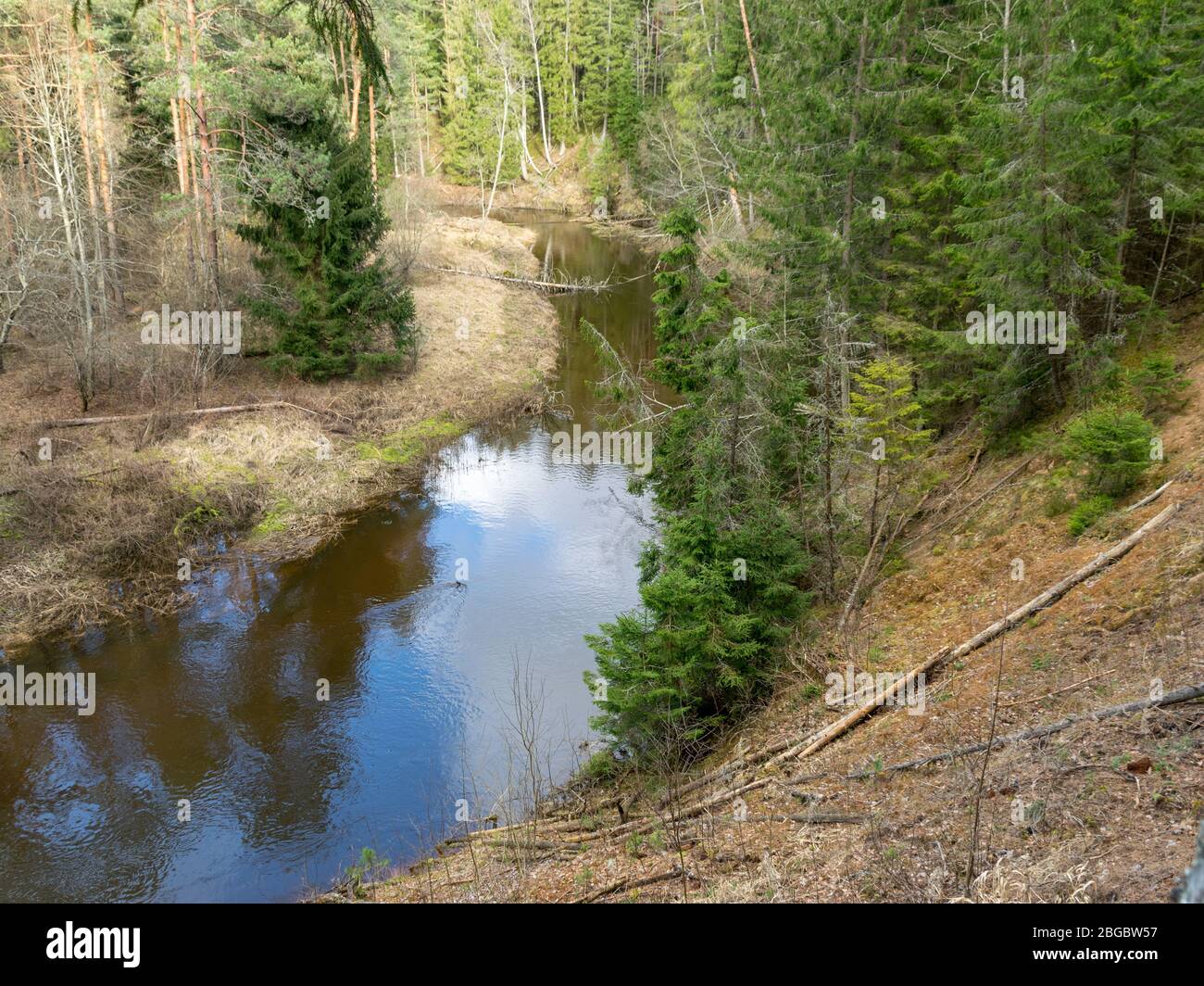 river view in early spring, dry grass and old reeds on river banks ...