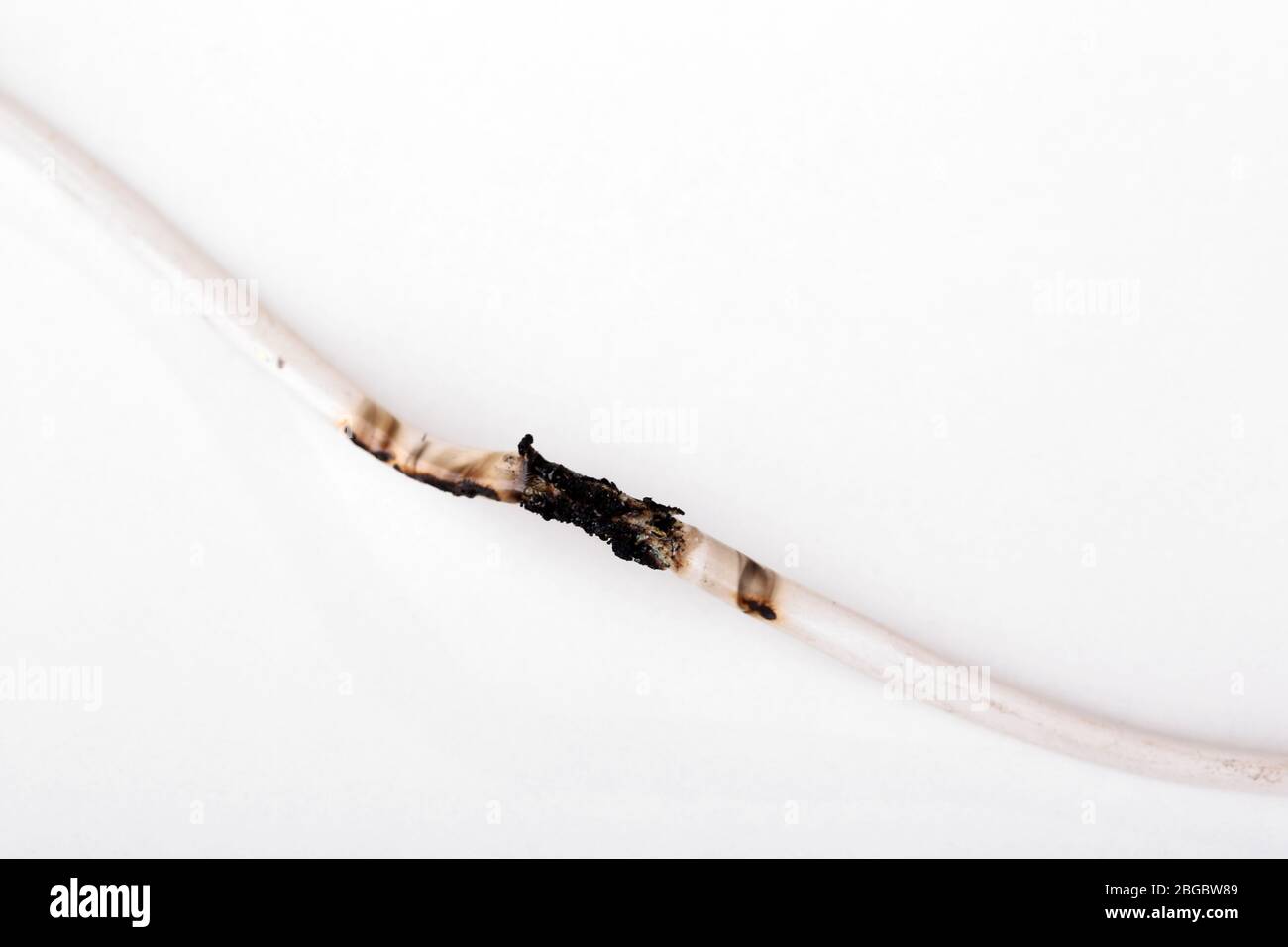 Short circuit, burnt cable, isolated on white Stock Photo - Alamy