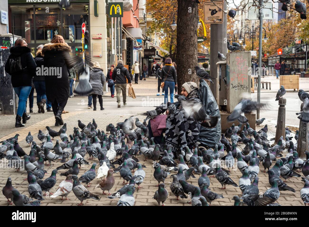Woman homeless pigeons hi-res stock photography and images - Alamy