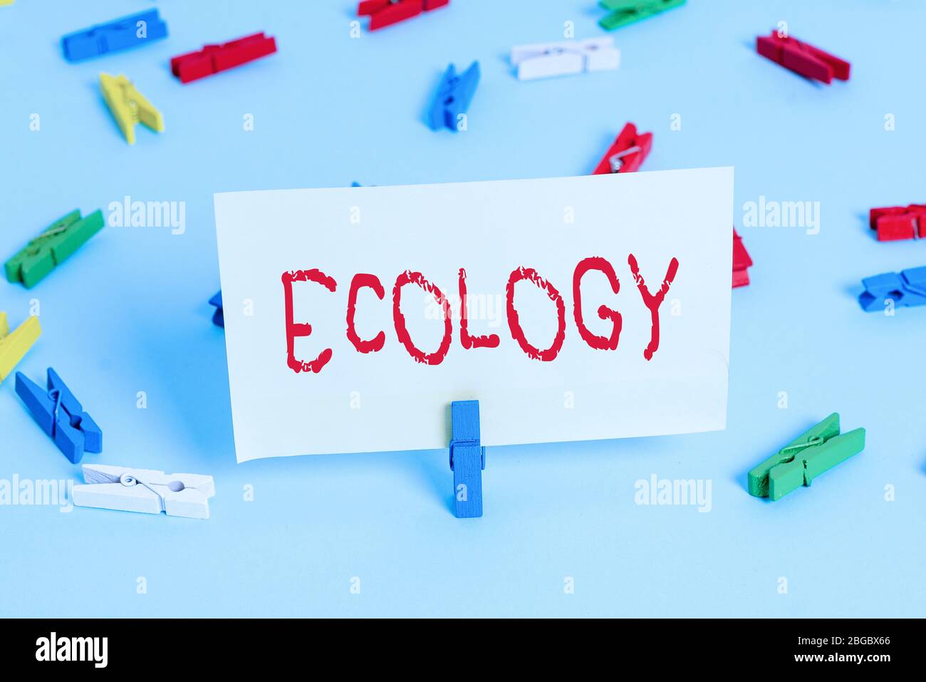 Conceptual hand writing showing Ecology. Concept meaning Branch of ...