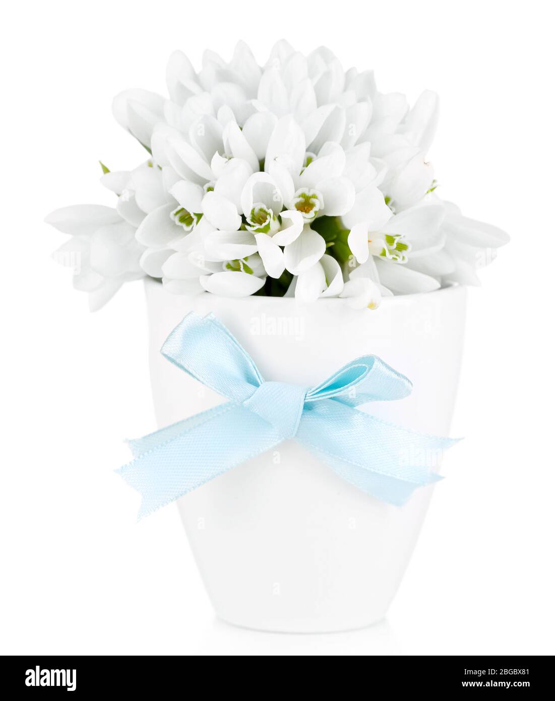 Beautiful snowdrops on snow Cut Out Stock Images & Pictures - Alamy