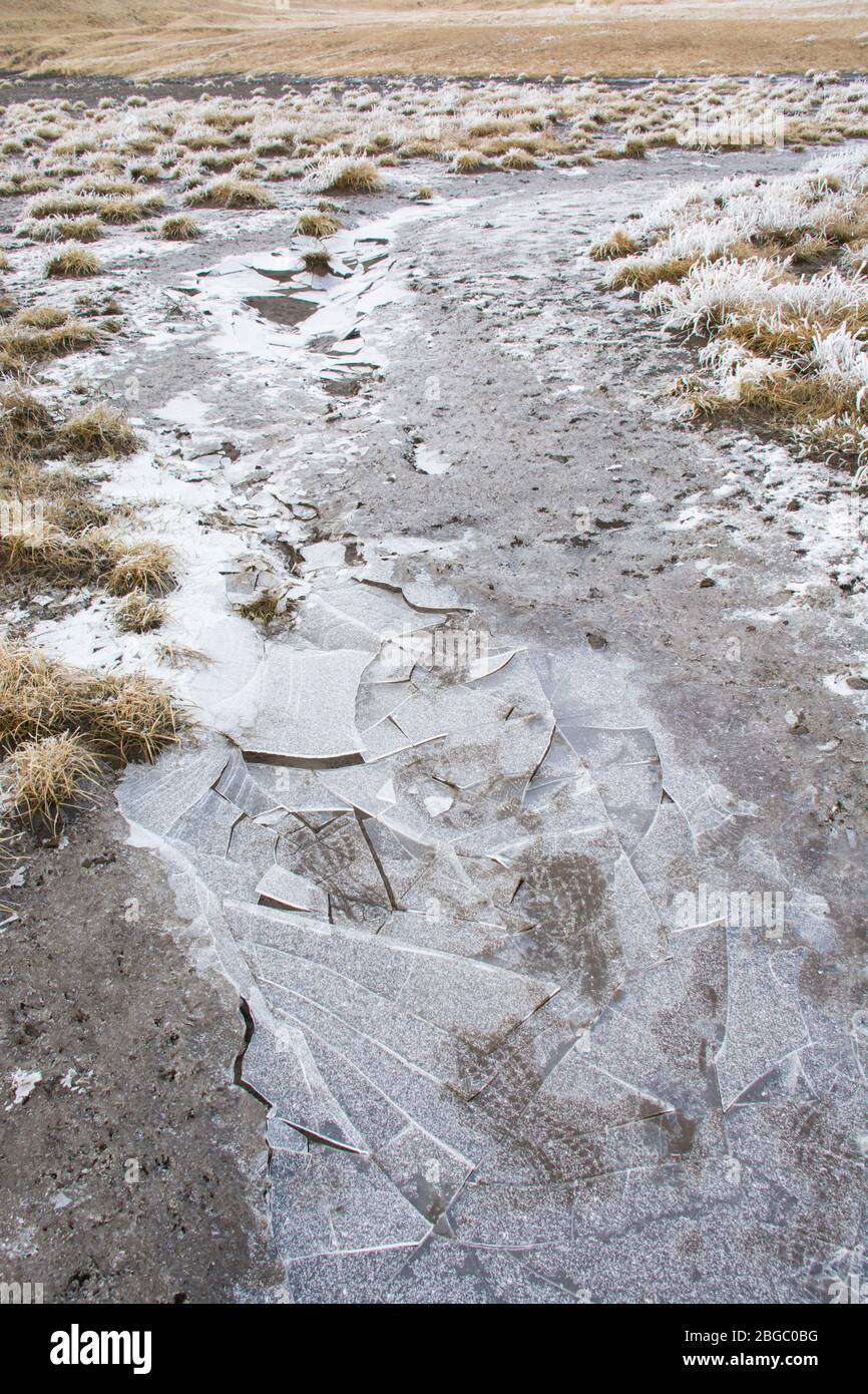 Mount Aso and Kusasenri in winter. covered by golden yellow grassland ...