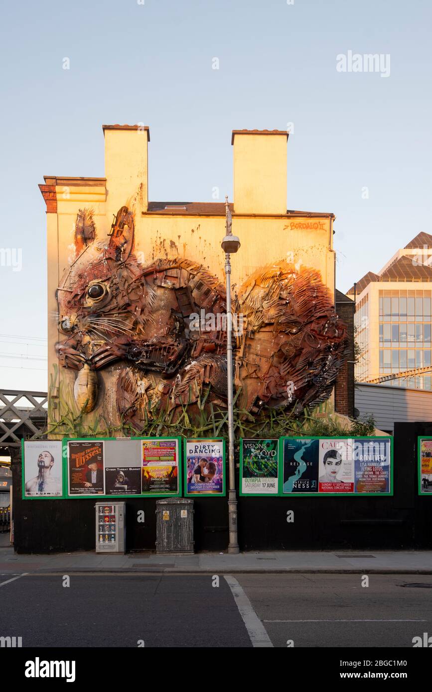 Dublin red squirrel mural since removed Stock Photo - Alamy