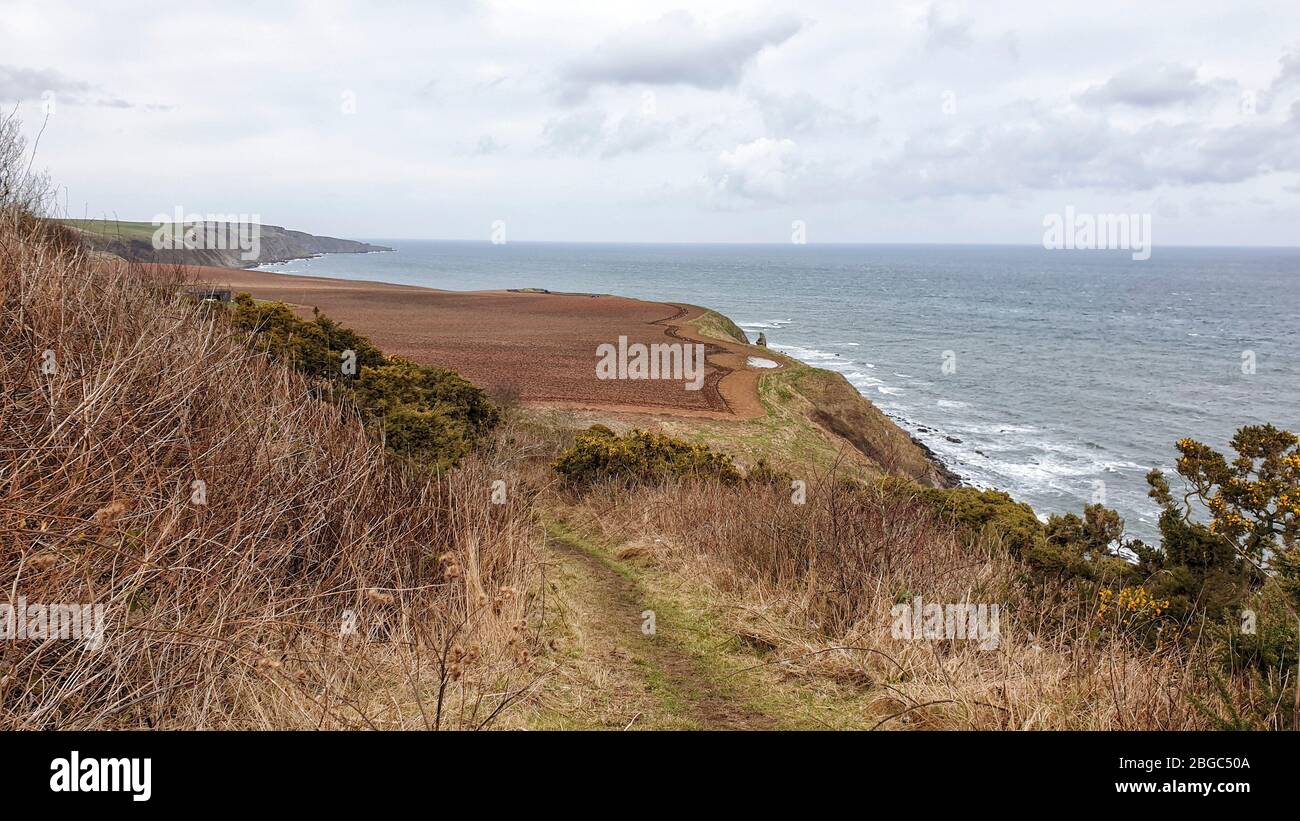 Berwickshire Coastal Path from Berwick upon Tweed to Burnmouth ...
