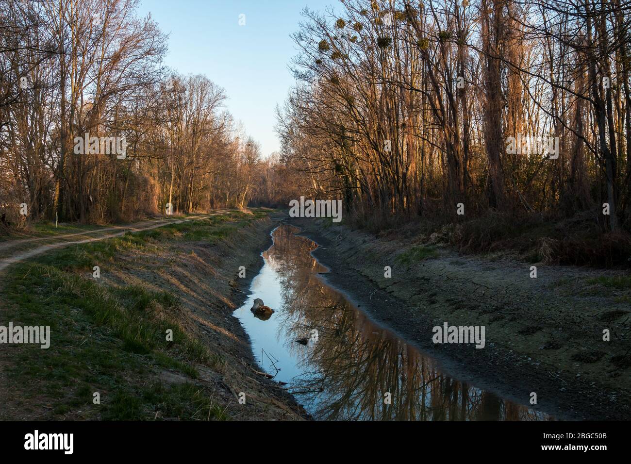 Idyllic forest scenery in danube valley hi-res stock photography and ...