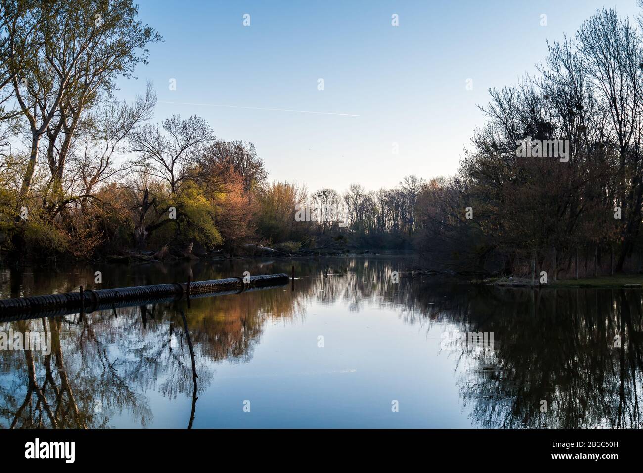 Morning in the early spring season at a Little Danube river, creating ...