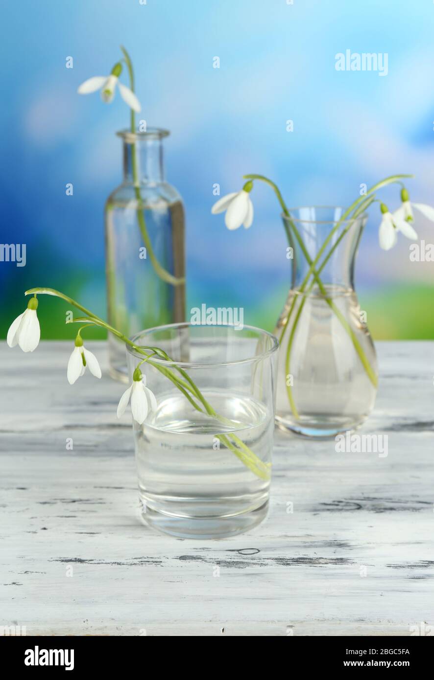 Beautiful snowdrops in vases on nature background Stock Photo - Alamy