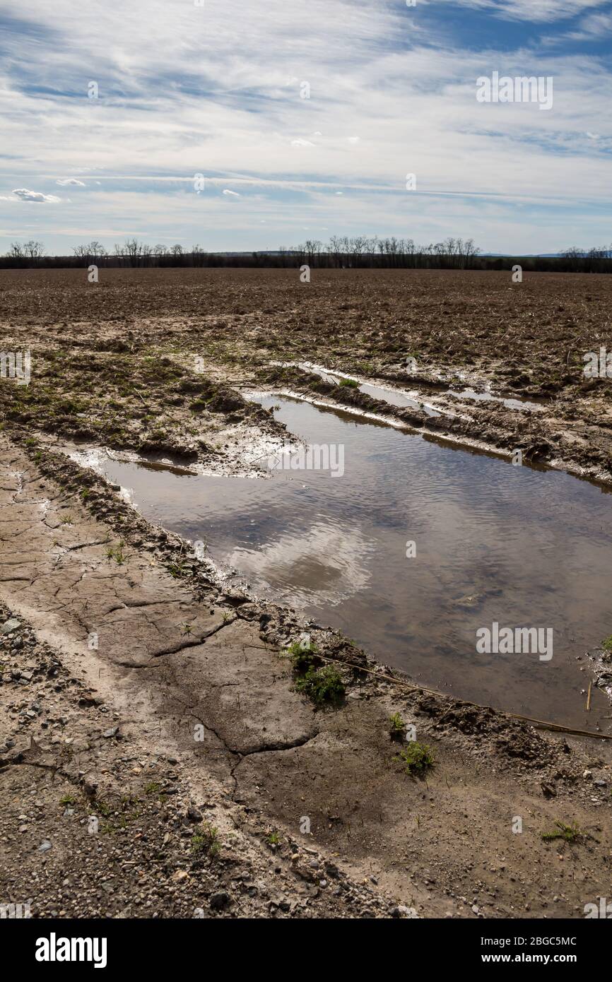 Brown soil of a plowed field in the spring. Large puddle in the car ...
