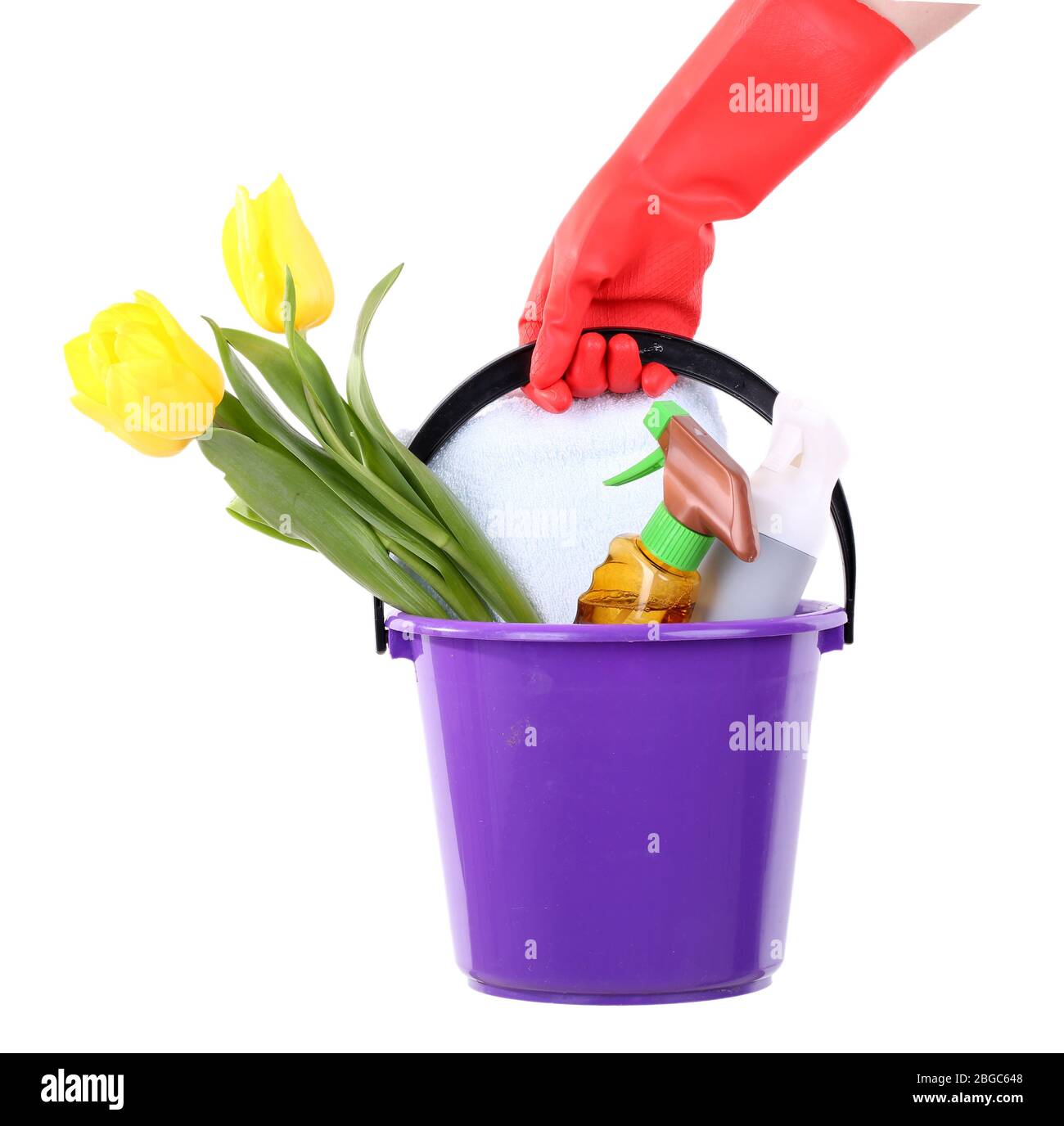 Housewife holding bucket with cleaning equipment. Conceptual photo of ...