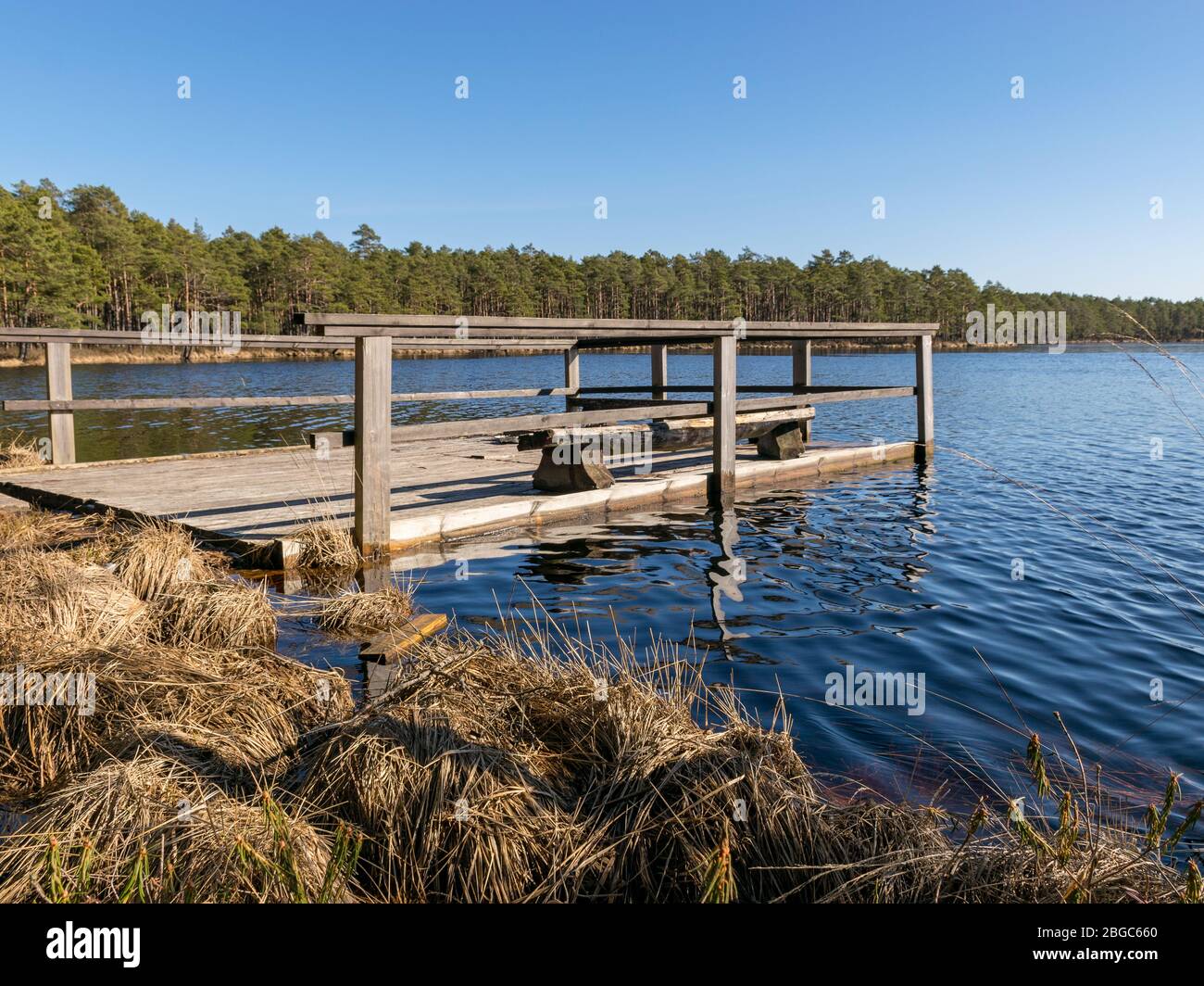 spring landscape with wooden viewing platform on the lake, snow ...