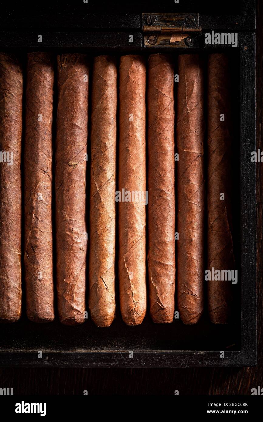 Top view of cigars in old wooden humidor Stock Photo - Alamy