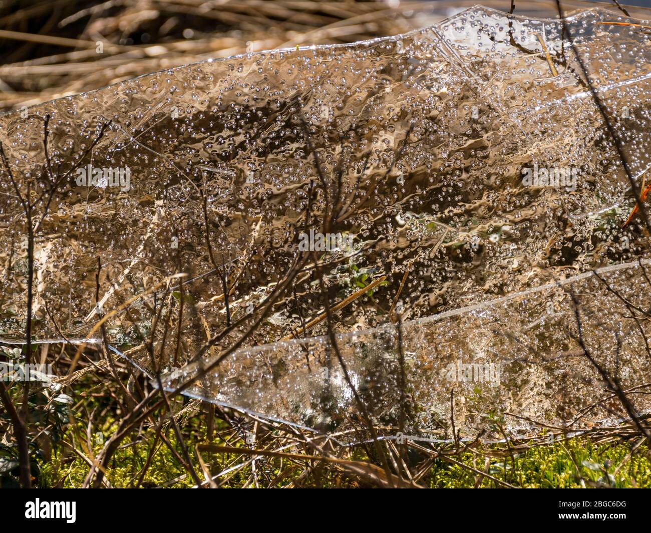 abstract thin ice texture suitable for background Stock Photo - Alamy