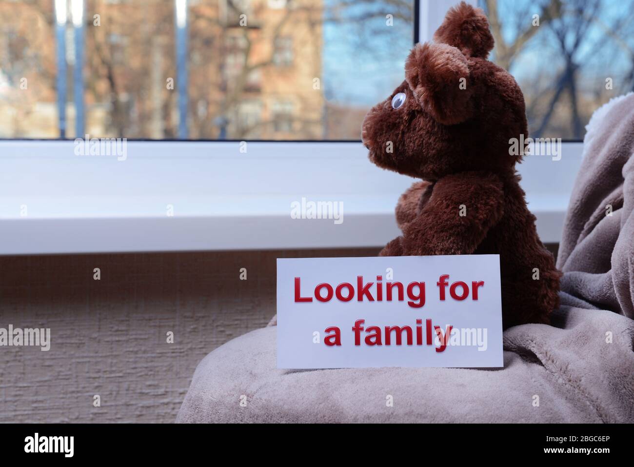 Toy-bear looking out window close-up Stock Photo - Alamy
