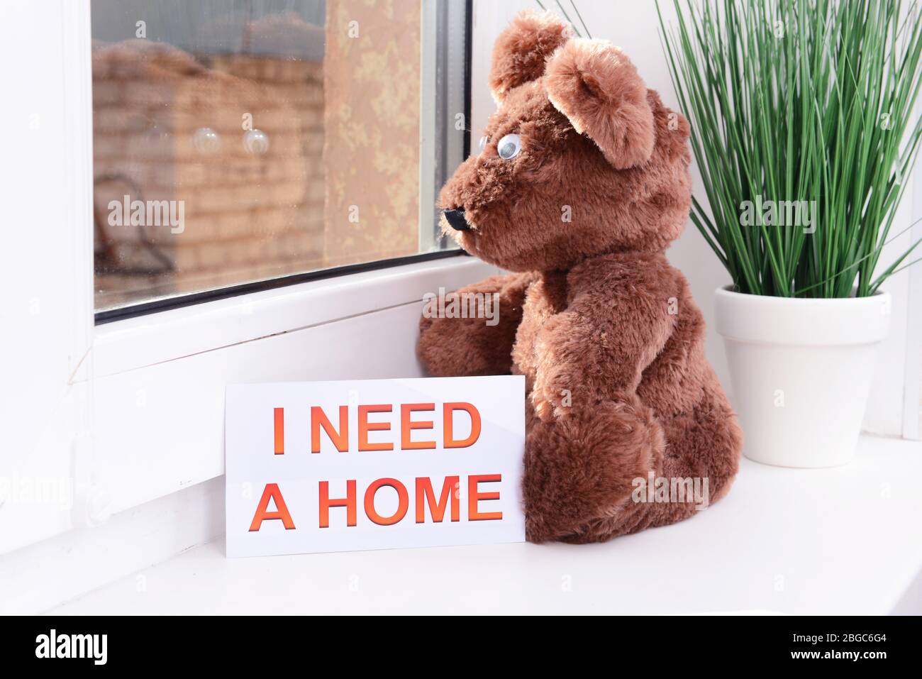 Toy-bear looking out window close-up Stock Photo - Alamy