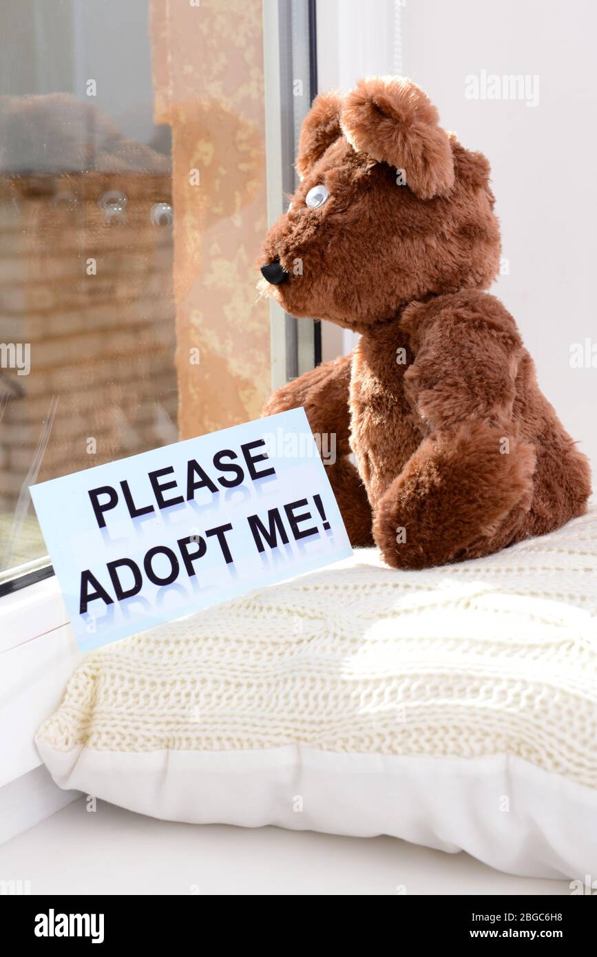 Toy-bear looking out window close-up Stock Photo - Alamy