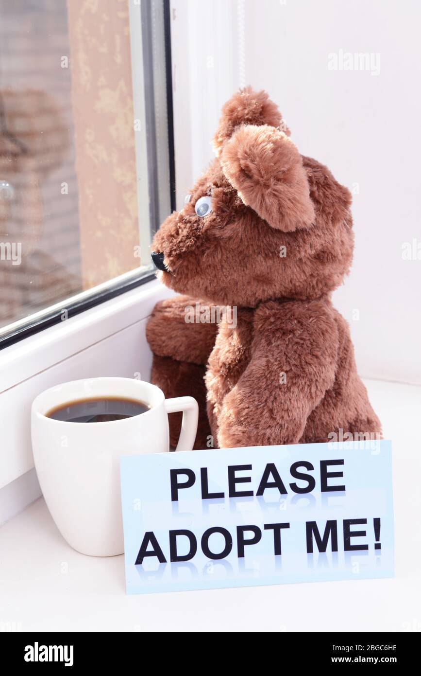 Toy-bear looking out window close-up Stock Photo - Alamy