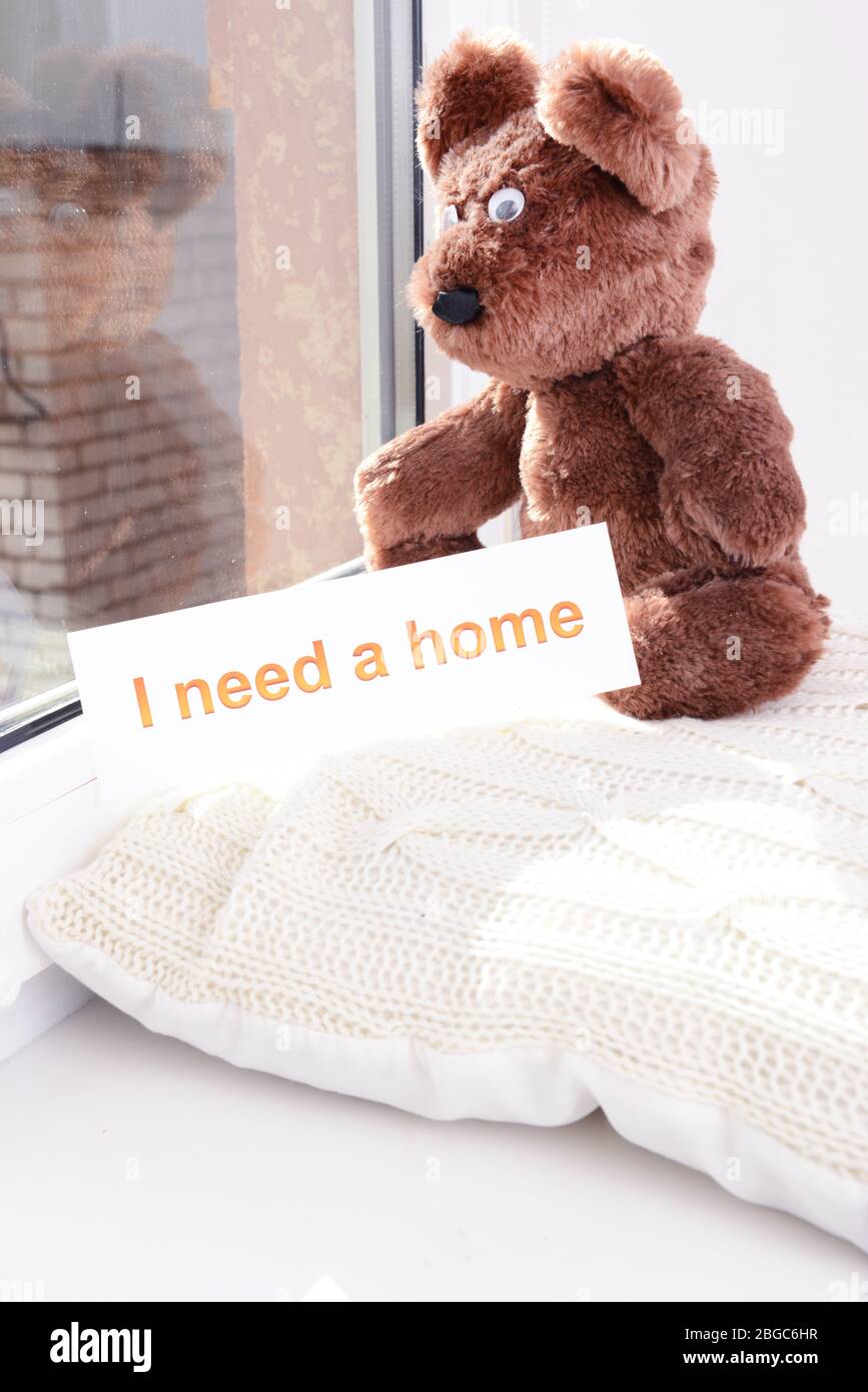 Toy-bear looking out window close-up Stock Photo - Alamy