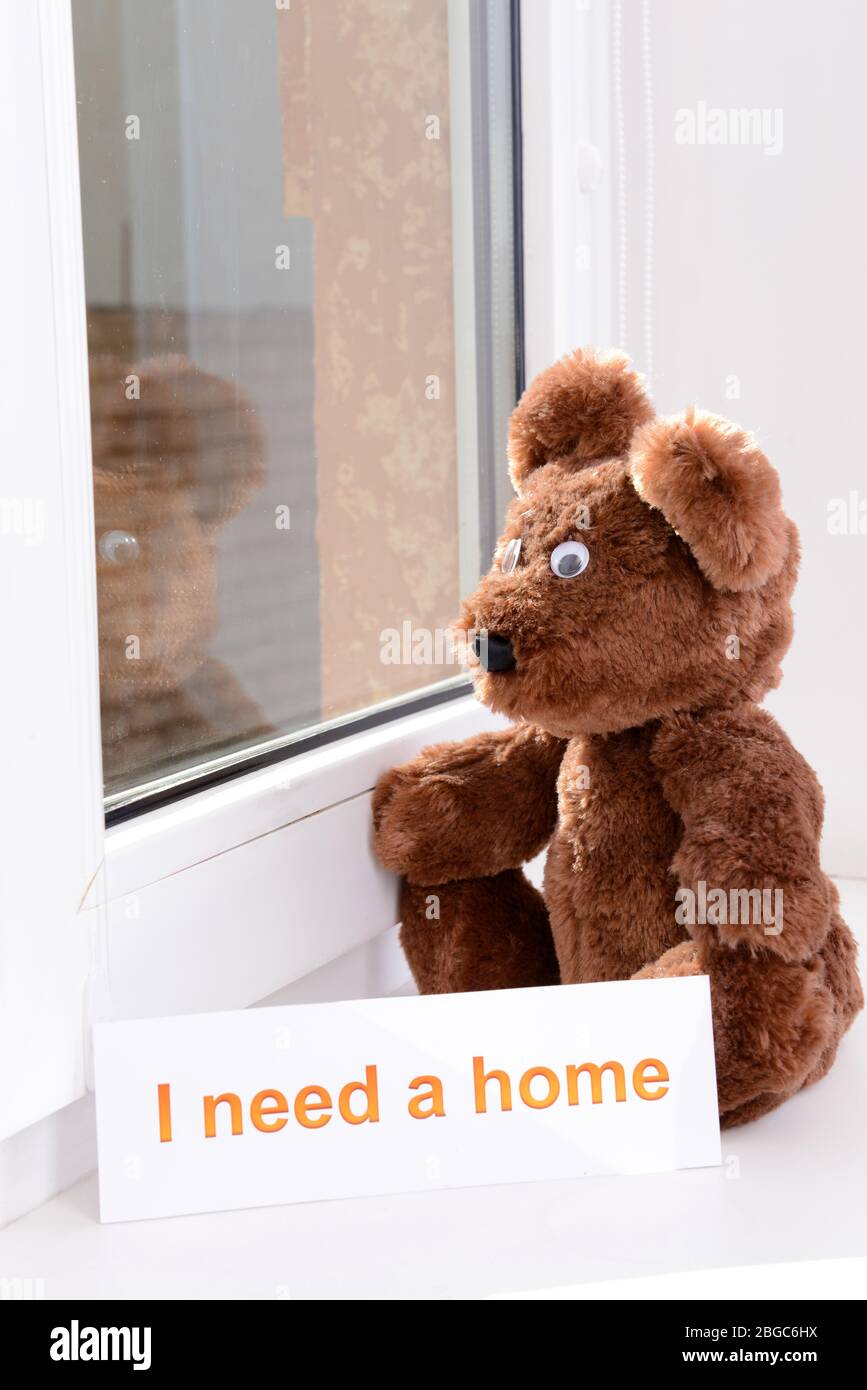 Toy-bear looking out window close-up Stock Photo - Alamy