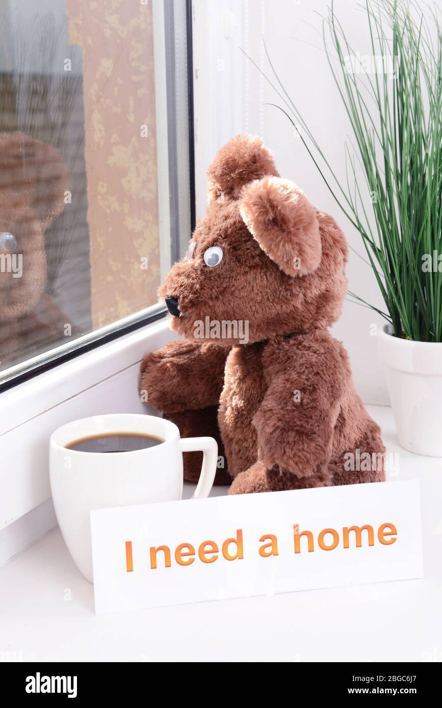 Toy-bear looking out window close-up Stock Photo - Alamy