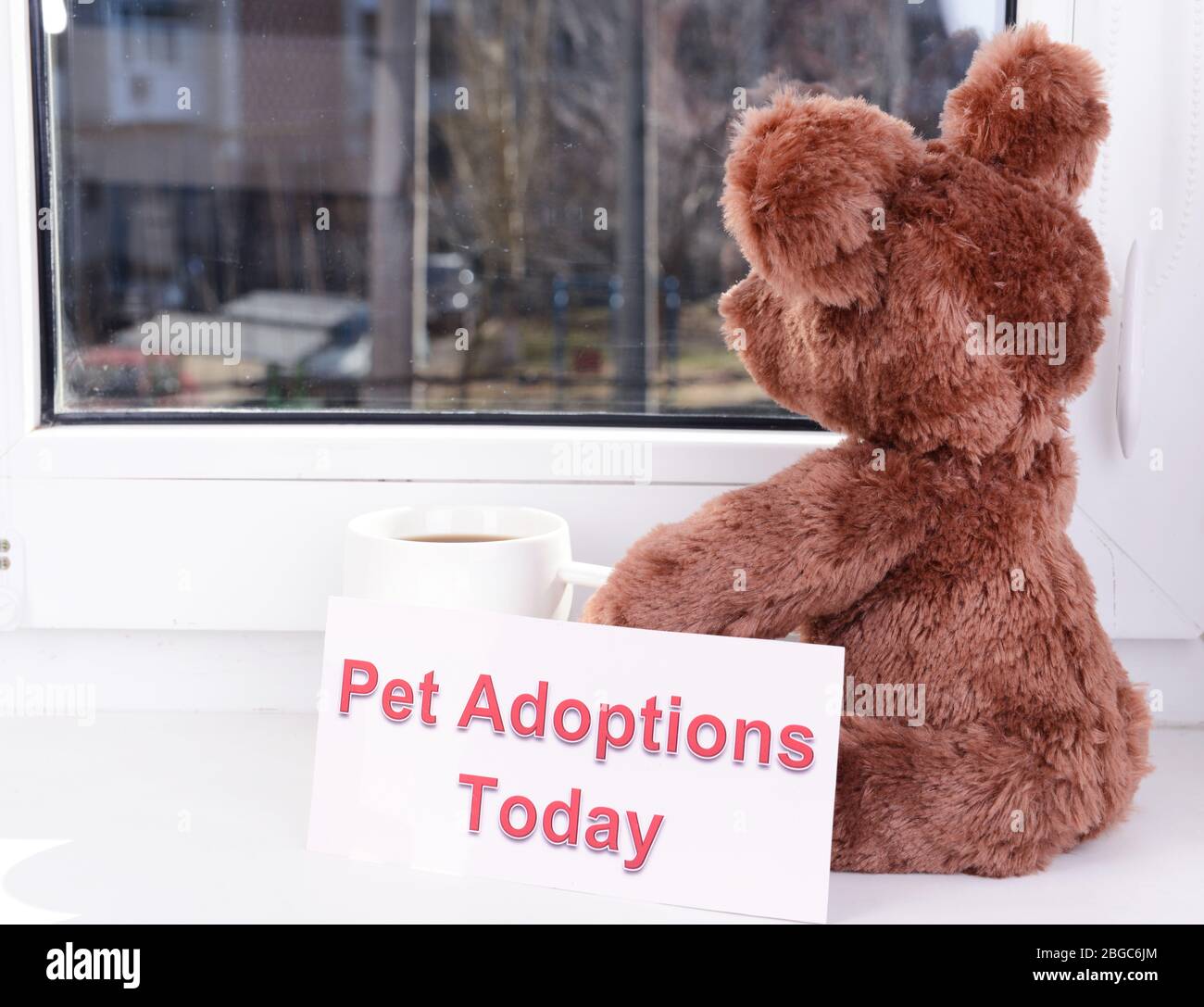 Toy-bear looking out window close-up Stock Photo - Alamy