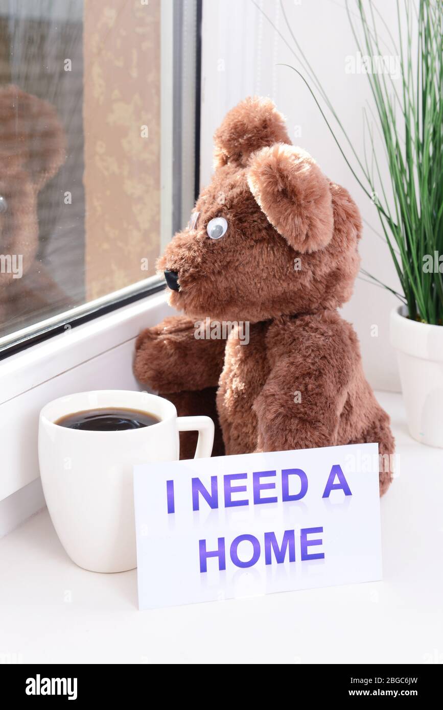 Toy-bear looking out window close-up Stock Photo - Alamy