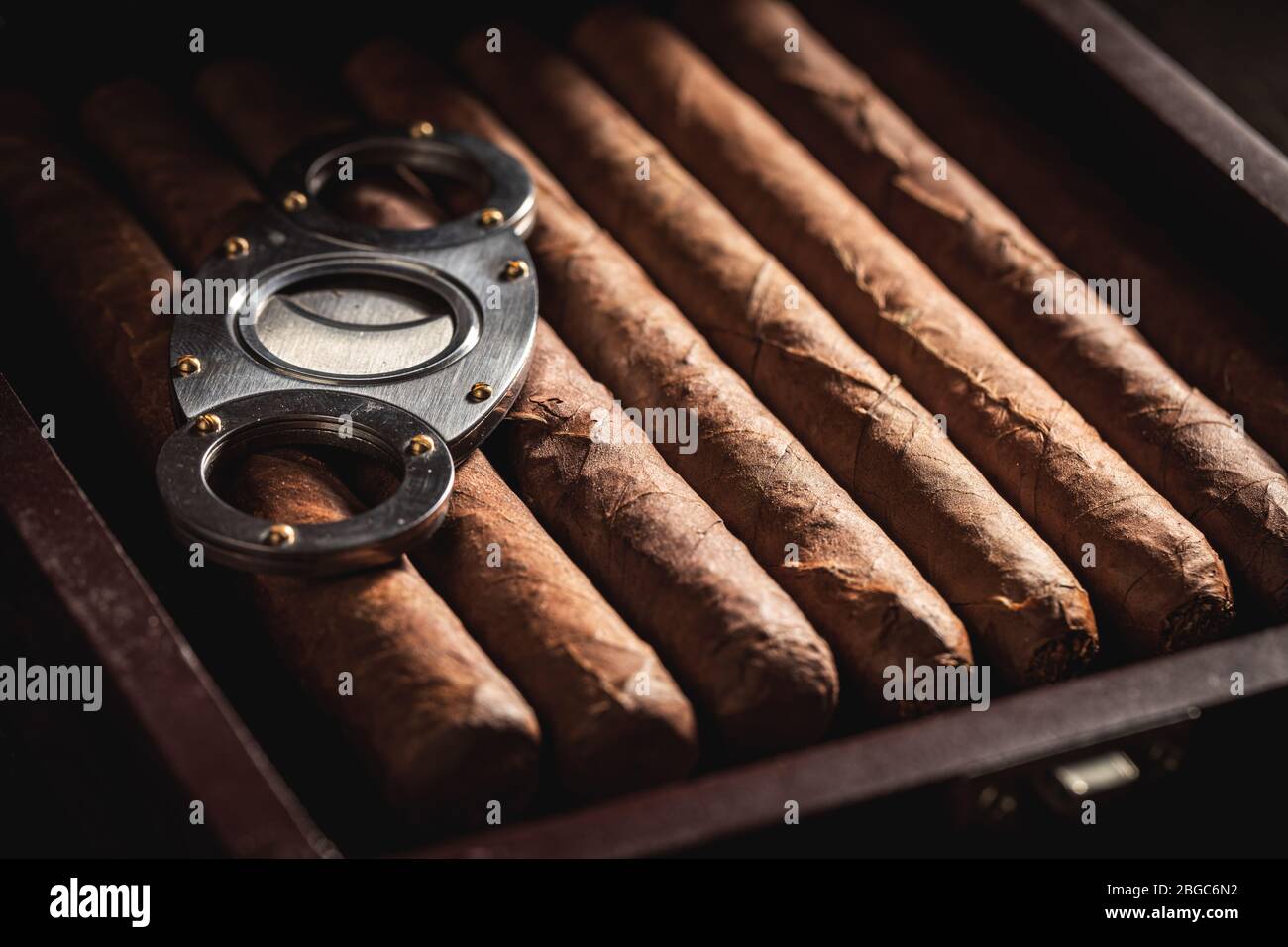Cuban cigars in wooden hi-res stock photography and images - Alamy