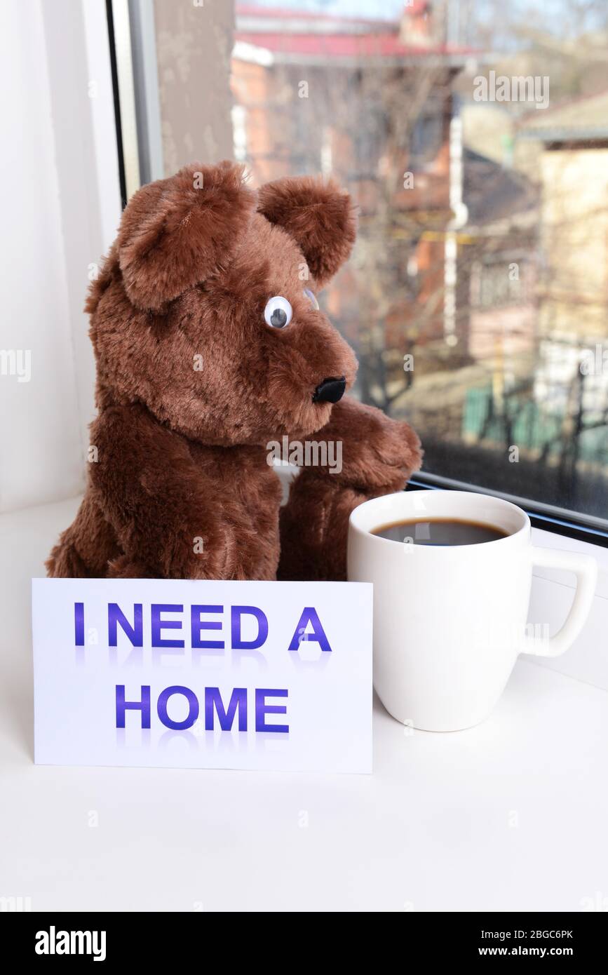 Toy-bear looking out window close-up Stock Photo - Alamy