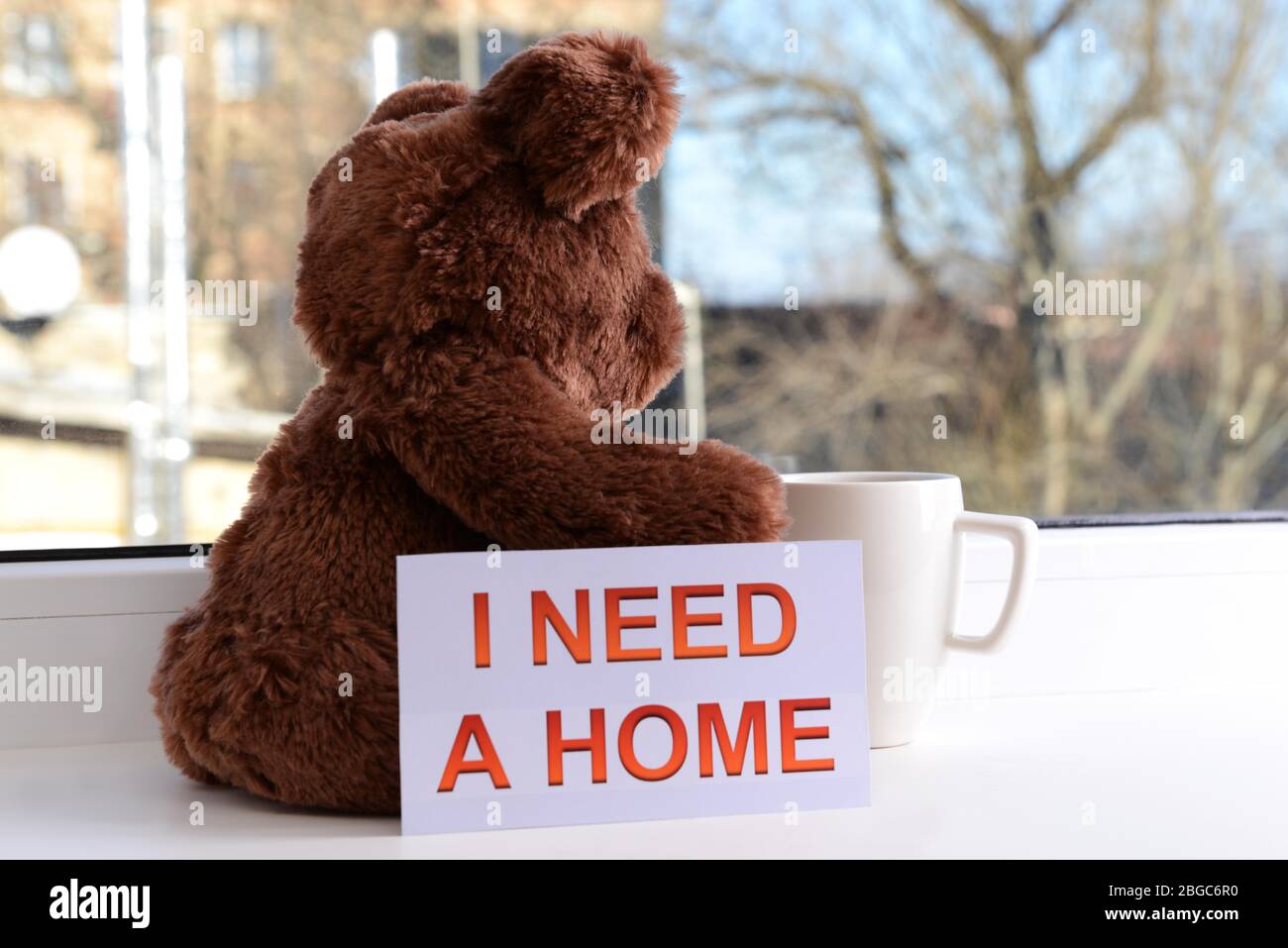 Toy-bear looking out window close-up Stock Photo - Alamy
