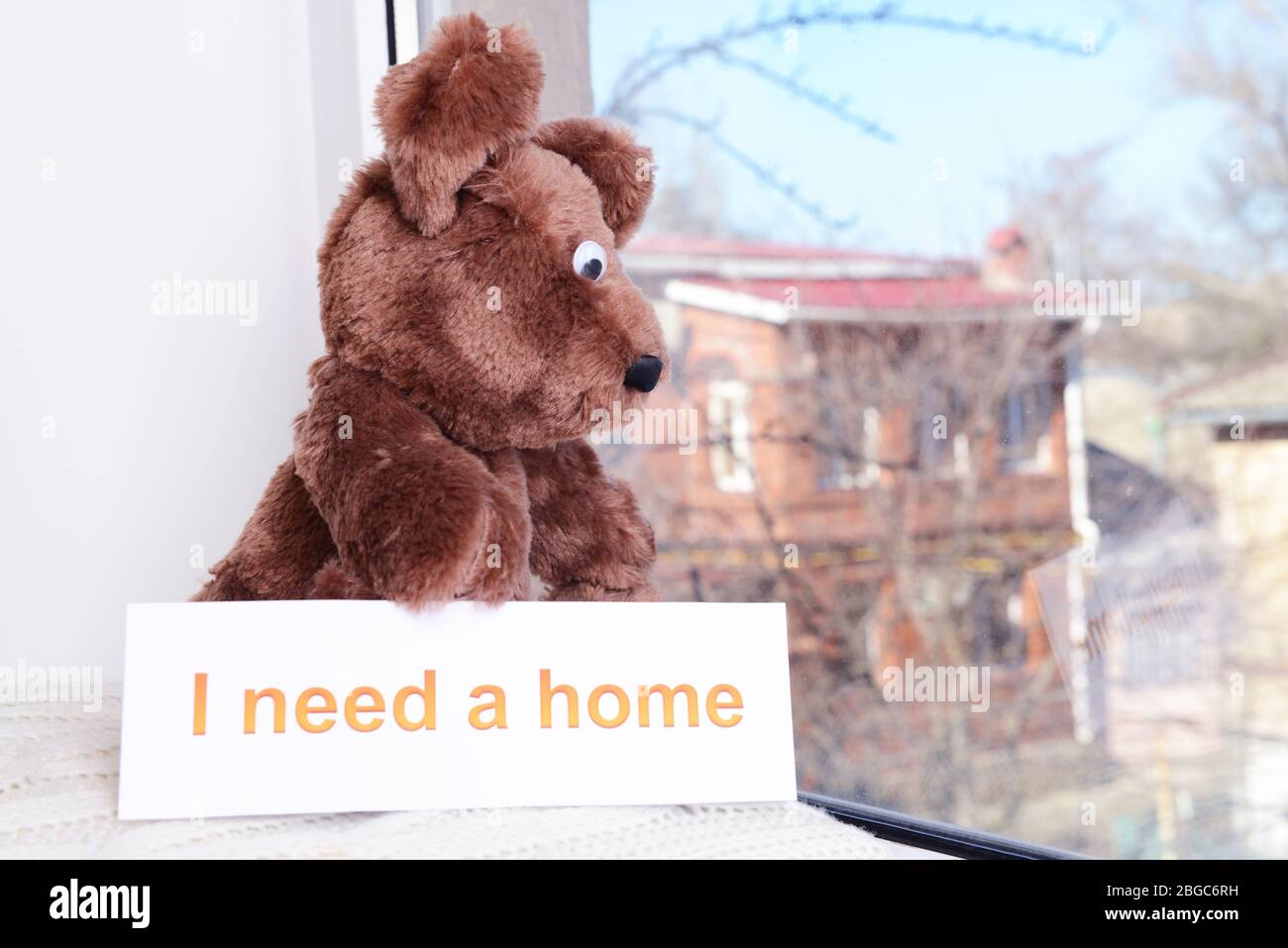 Toy-bear looking out window close-up Stock Photo - Alamy