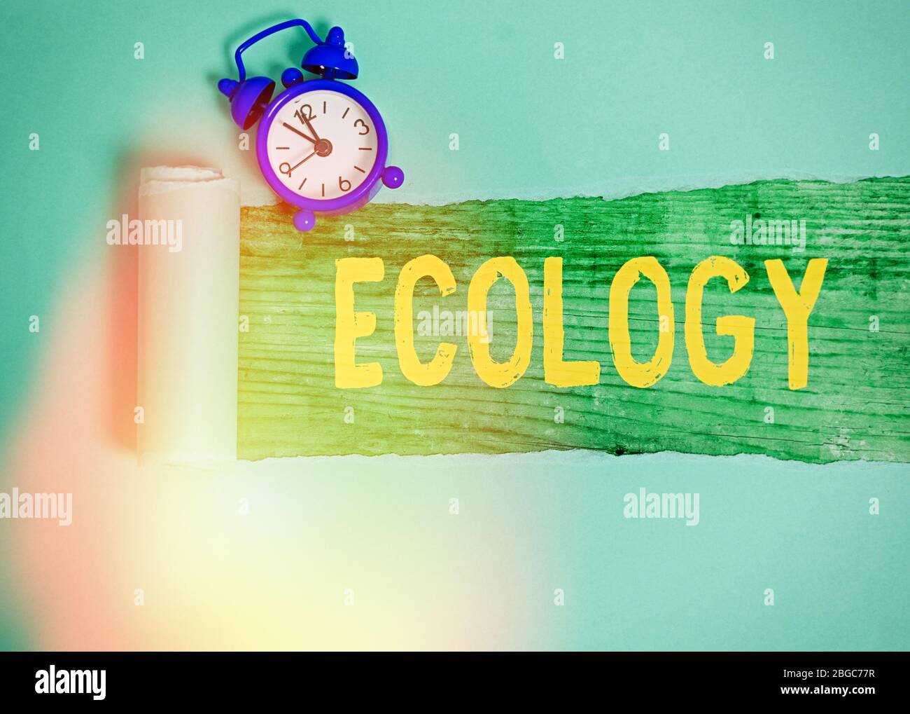 Conceptual hand writing showing Ecology. Concept meaning Branch of ...