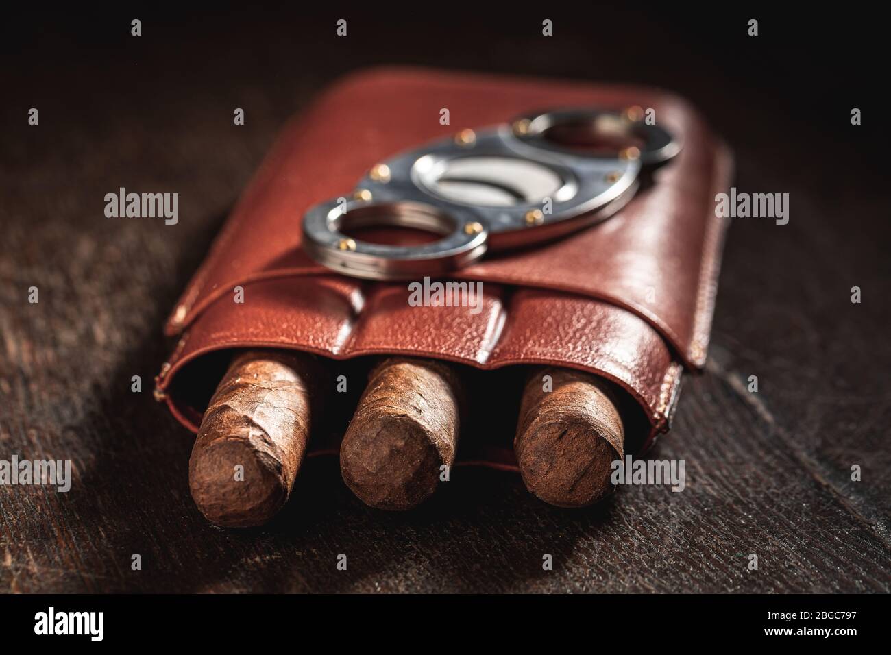 Closeup of three cigars in a leather container Stock Photo - Alamy