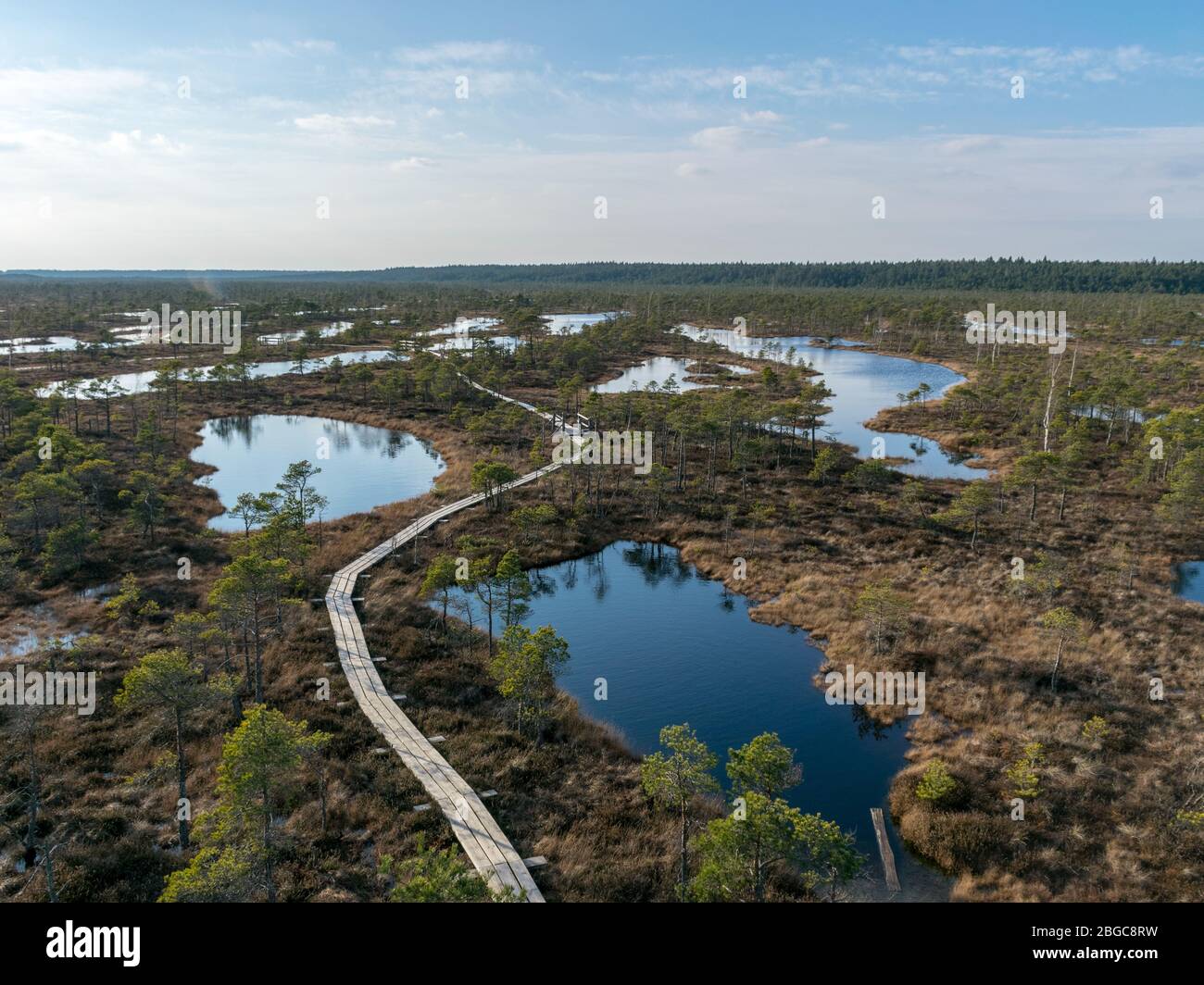 A scenic view from the top of the Kemeri bog, moorland landscape, early ...