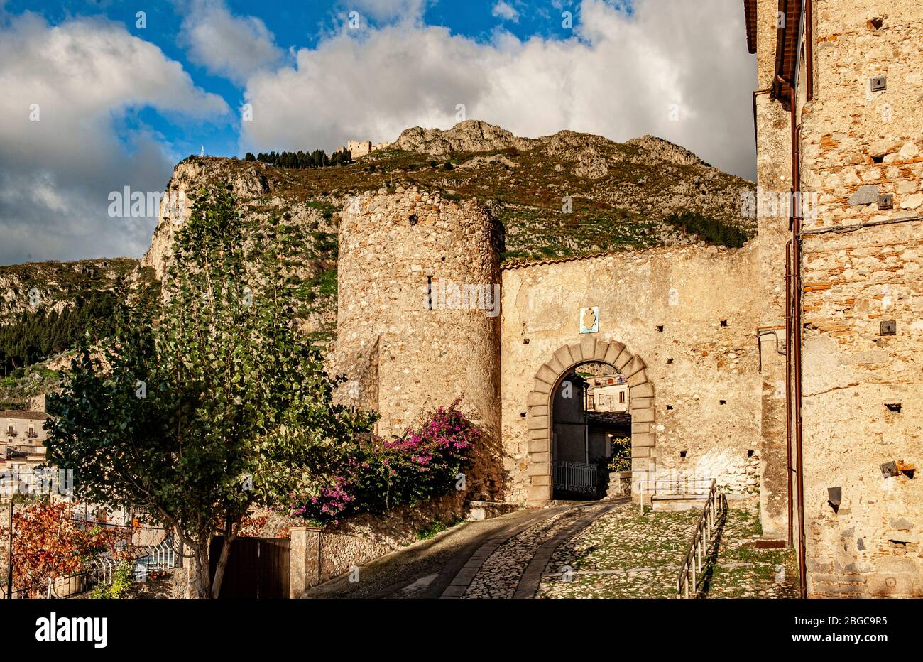 Stefanina hi-res stock photography and images - Alamy