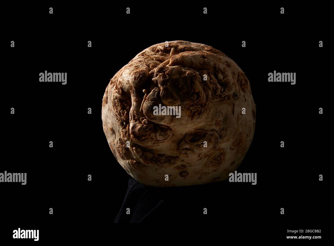 Isolated celery root on black background hi-res stock photography and ...