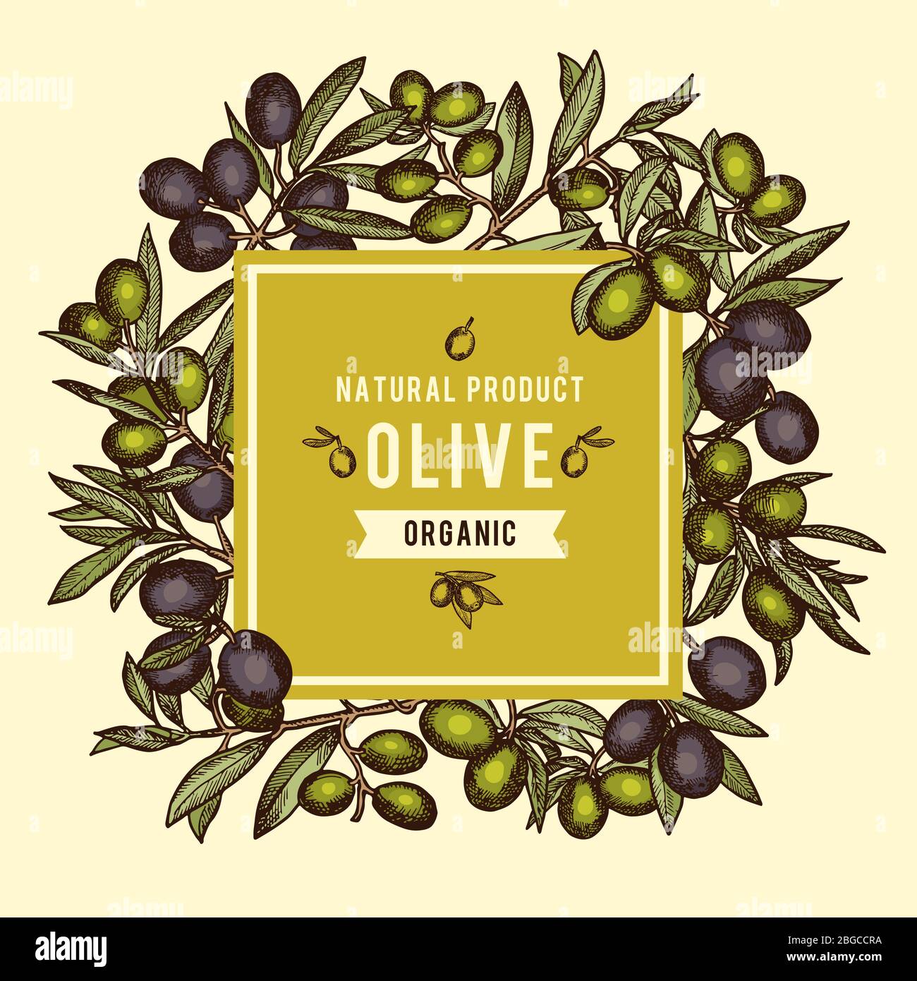 Hand colored in olive green Stock Vector Images - Alamy