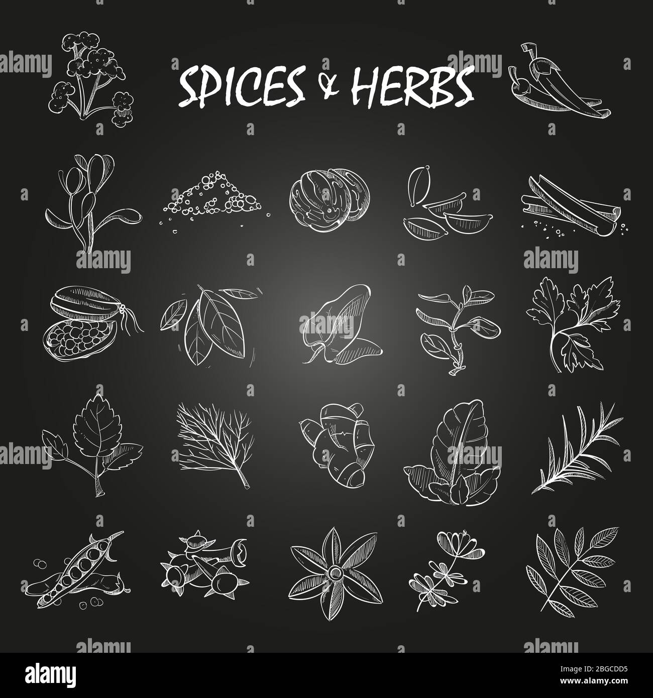 Herbs spices drawing Stock Vector Images - Alamy