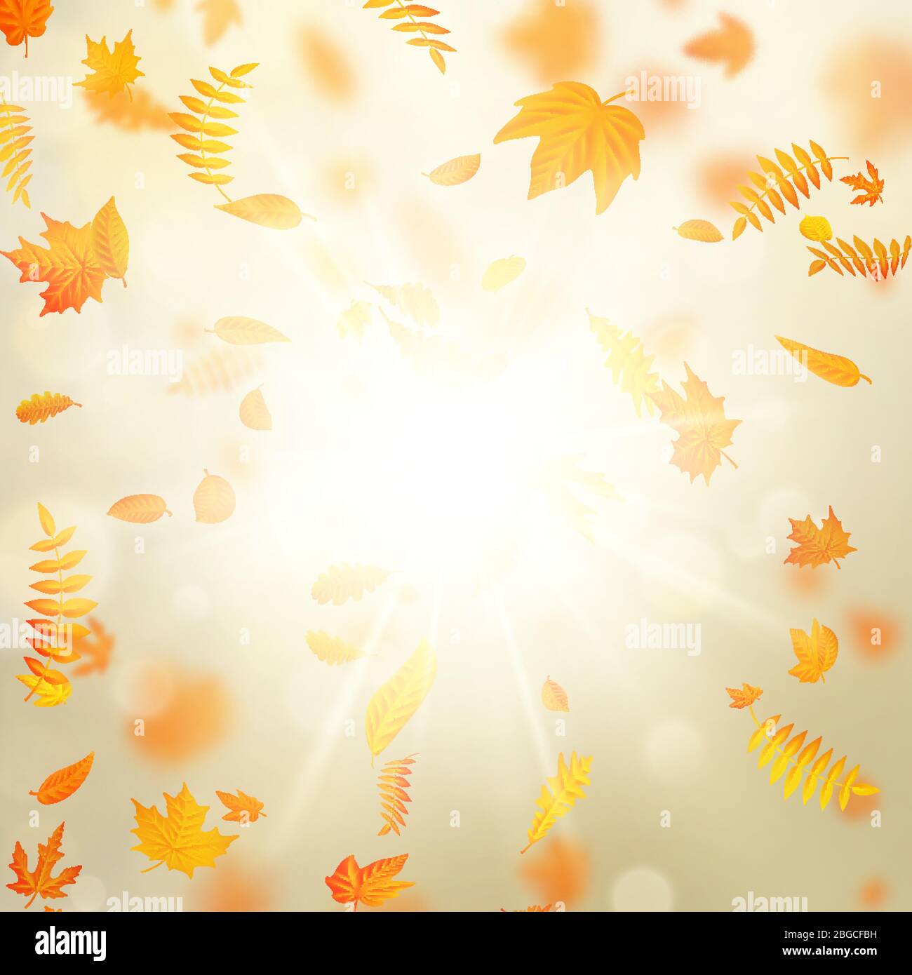 Beautiful autumn background with maple autumn leaves and delicate sun ...