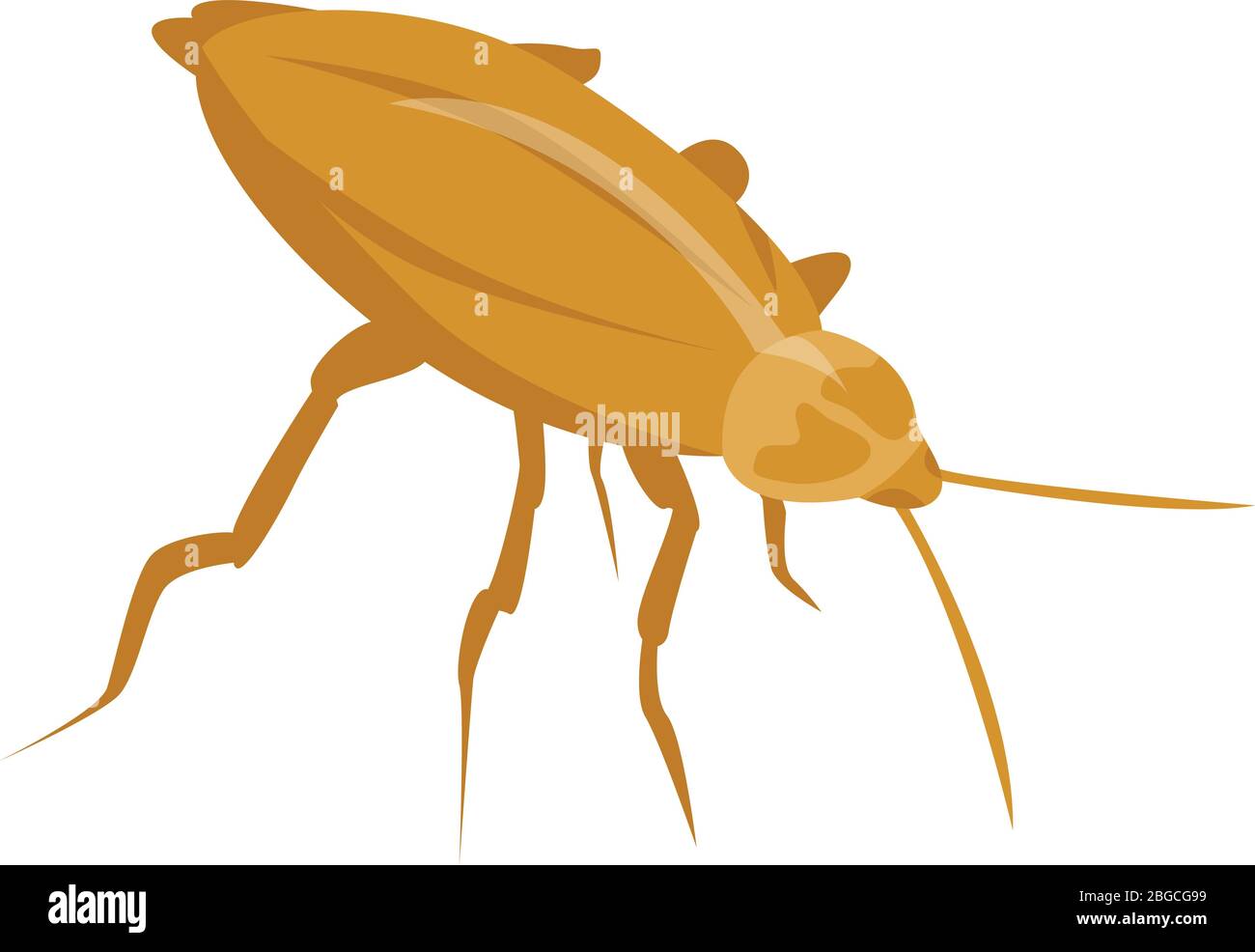 Cockroach images hi-res stock photography and images - Alamy