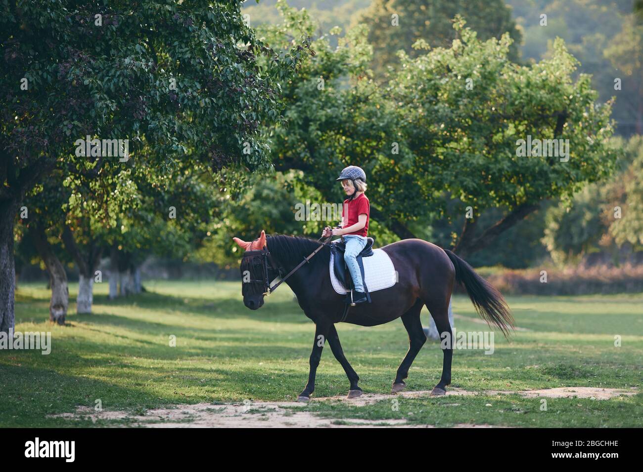 cute young rider on horseback enjoying horse riding at summer garden ...