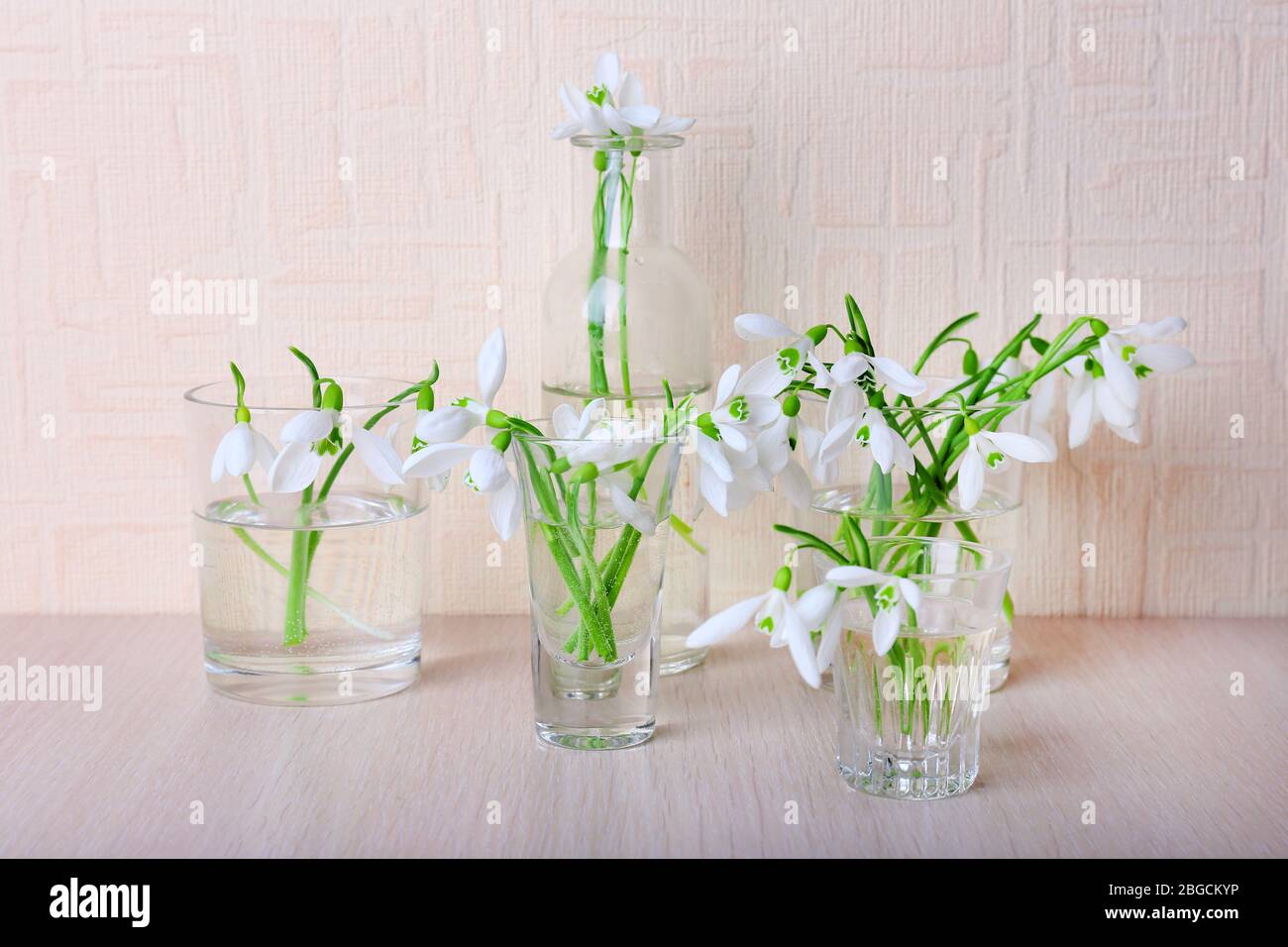Beautiful bouquets of snowdrops in vases on light background Stock ...