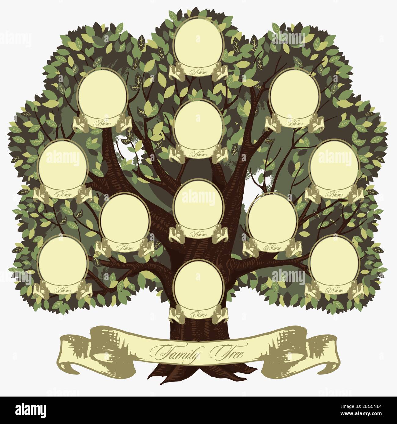 Cartoon Vector Illustration Family Tree Names Stock Vector