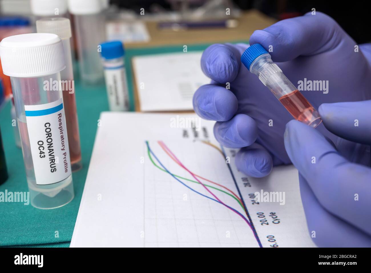 Scientist studies the curves of the Covic-19 pandemic and the dna of an ...