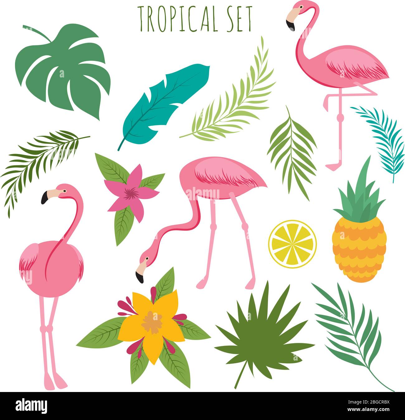 Tropical vectoro set with pink flamingos, palm leaves and flowers ...
