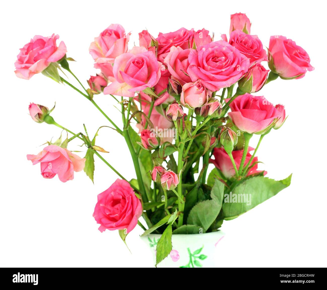 Beautiful small pink roses, isolated on white Stock Photo - Alamy